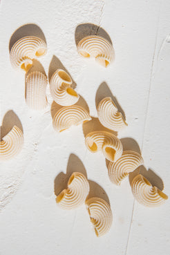 Dried Pipette Pasta – Saturday Night Pasta